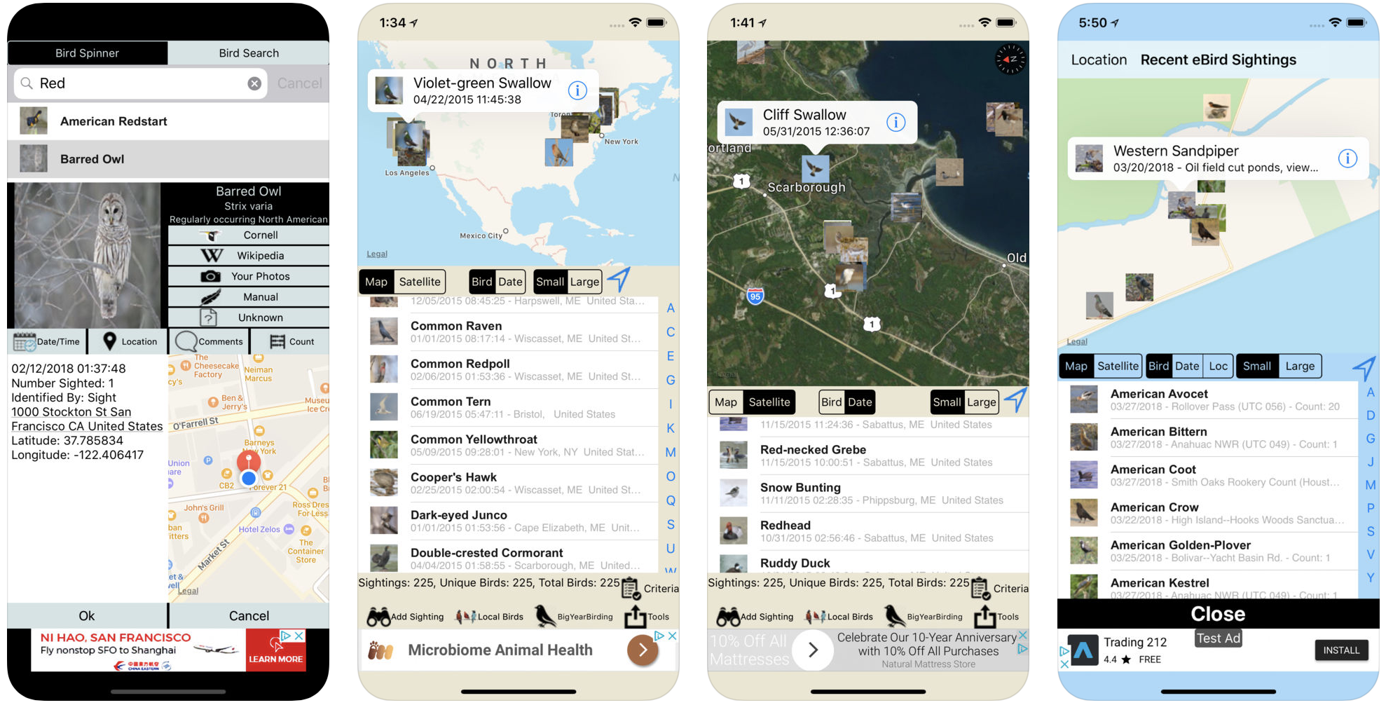 Big Year Birding App - a fast and easy way to record sightings in the field
